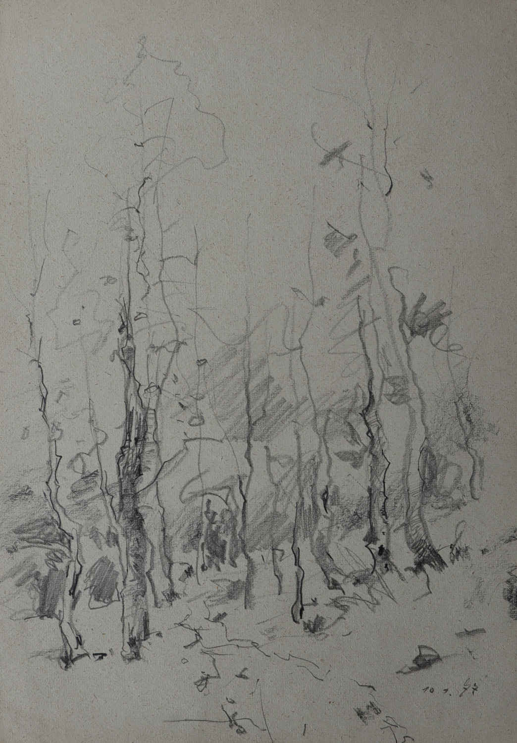 99 o. T. (Junge Birken im Schnee) - Max Schneider (1903-1980)